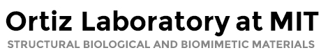 Ortiz Laboratory at MIT