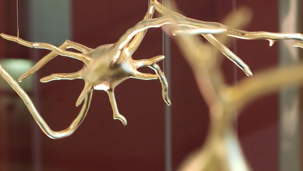 Spotlight: A beautiful brain | MIT - Massachusetts Institute of Technology