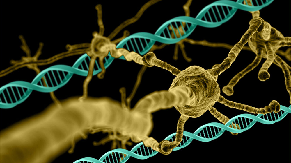 Spotlight: Targeting Huntington’s disease | MIT - Massachusetts Institute of Technology