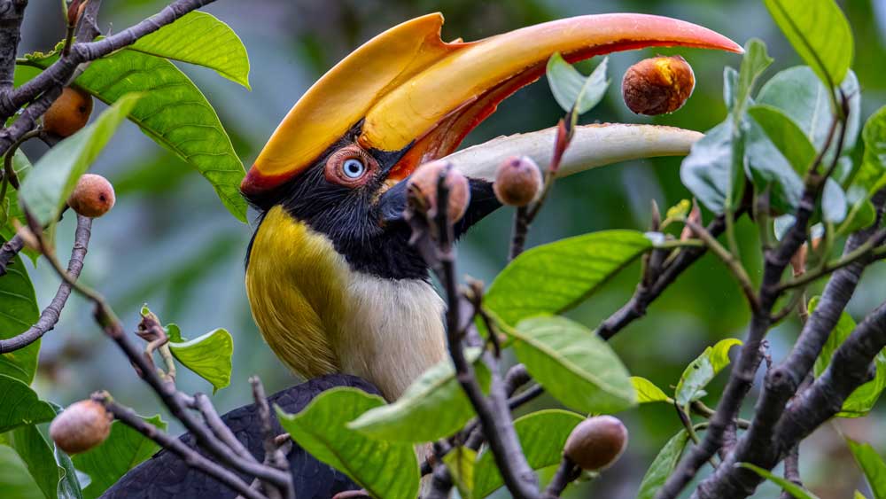 Spotlight: Spreading seeds | MIT - Massachusetts Institute of Technology