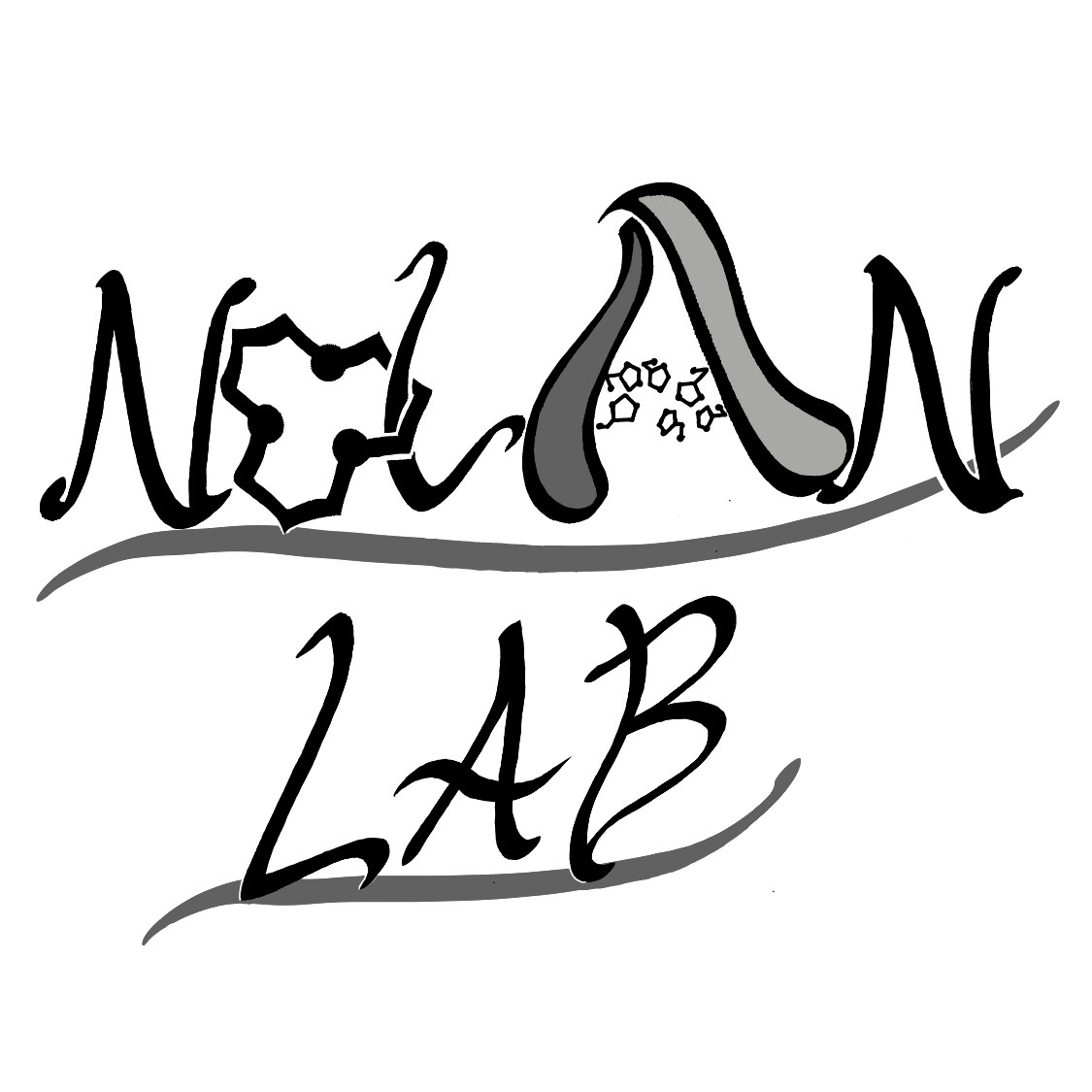 Nolan Lab - Home