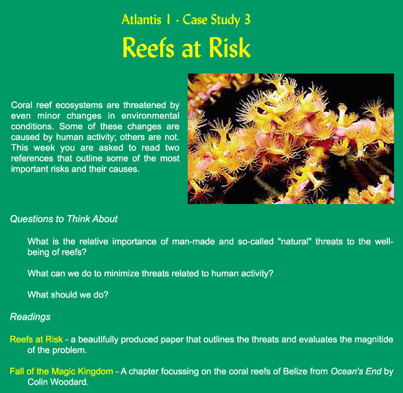 Atlantis I Case Study 3