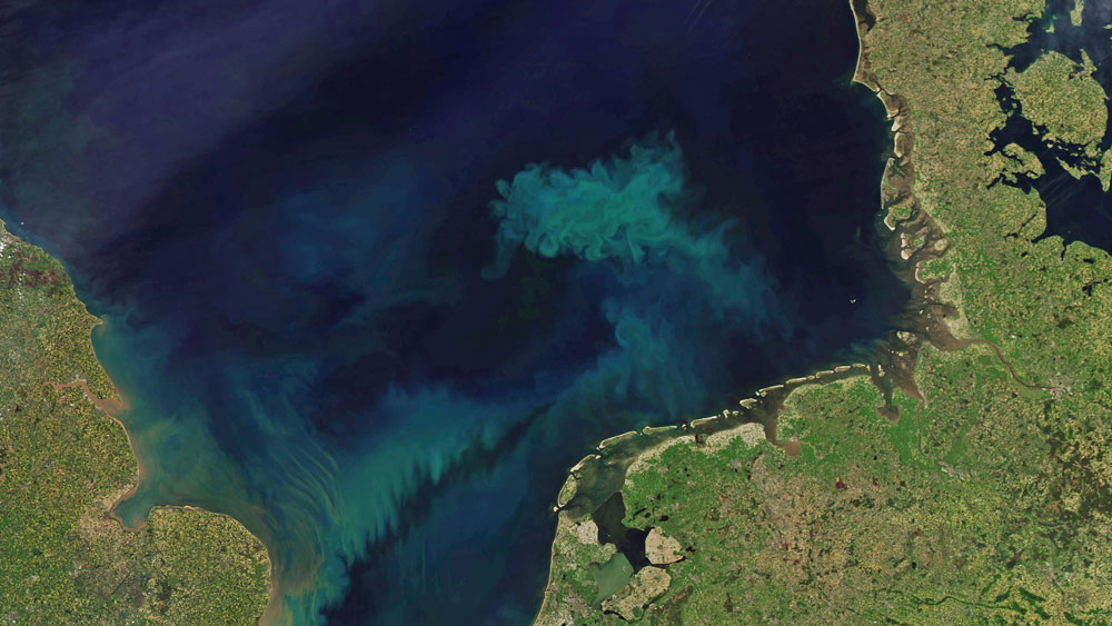 Spotlight: Climate change, color change | MIT - Massachusetts Institute ...