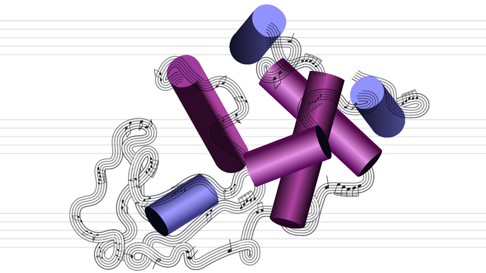 Spotlight: Musical proteins | MIT - Massachusetts Institute of Technology