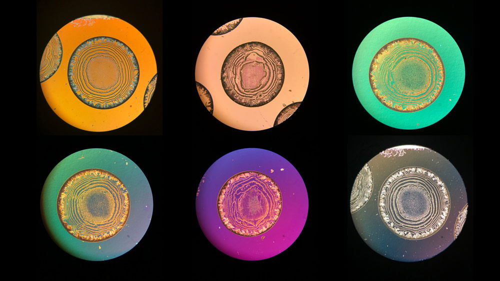 Spotlight: Tiny spirals | MIT - Massachusetts Institute of Technology