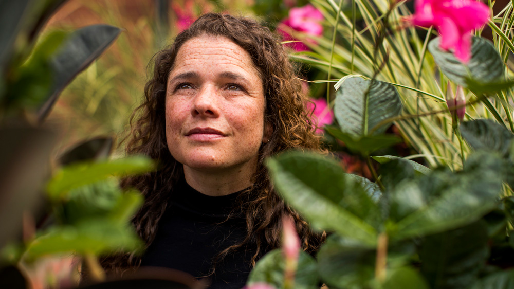 Spotlight: Data-driven urban research | MIT - Massachusetts Institute ...