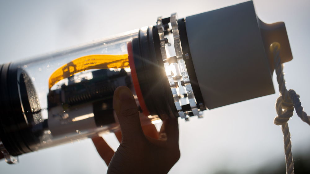 Spotlight: Machine Learning to save seaweed | MIT - Massachusetts ...