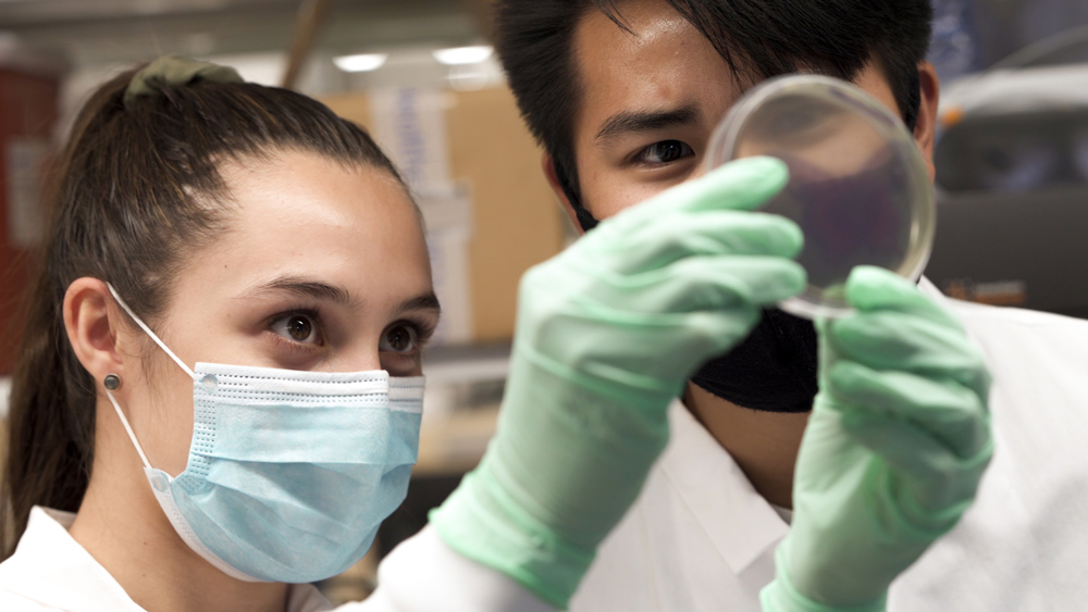 Spotlight: Engineering the life sciences | MIT - Massachusetts ...