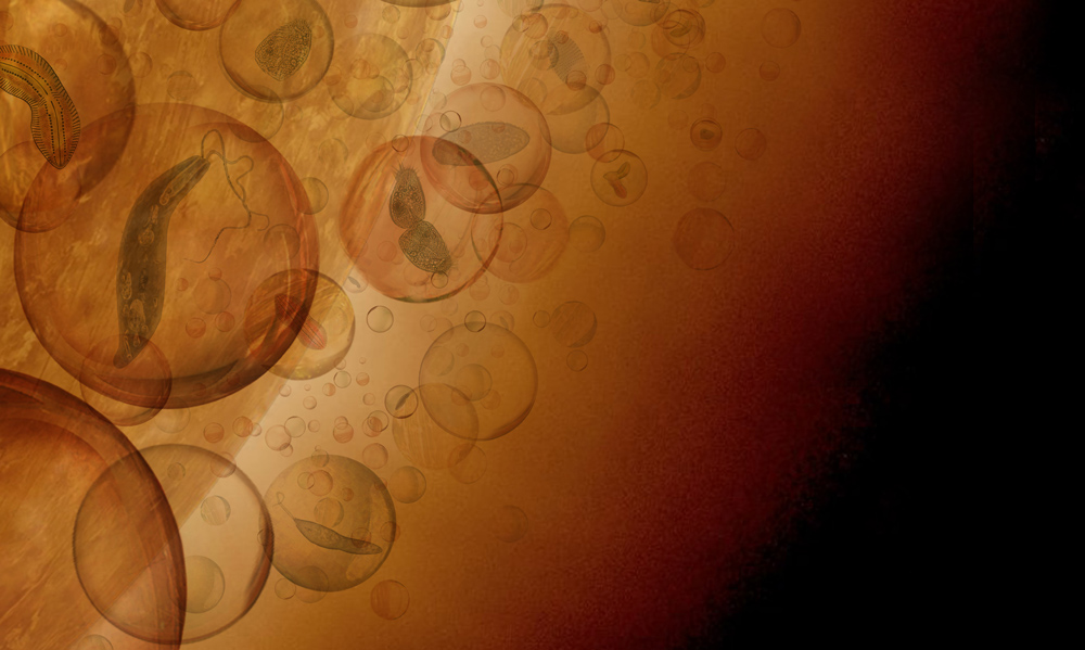 Spotlight: Possible path to life on Venus | MIT - Massachusetts ...