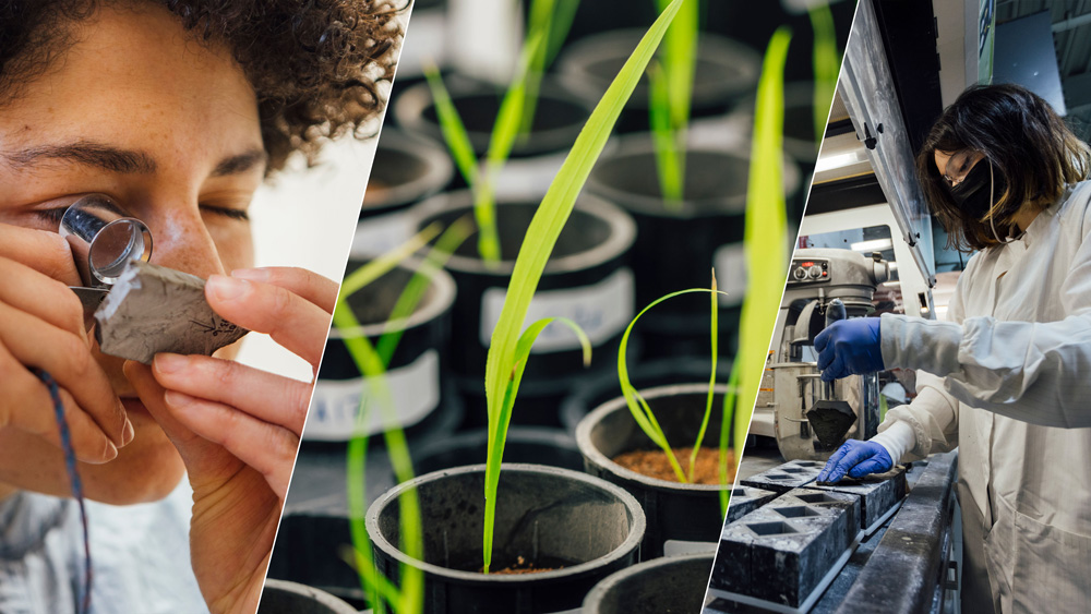 Spotlight: Pathbreaking climate solutions | MIT - Massachusetts ...