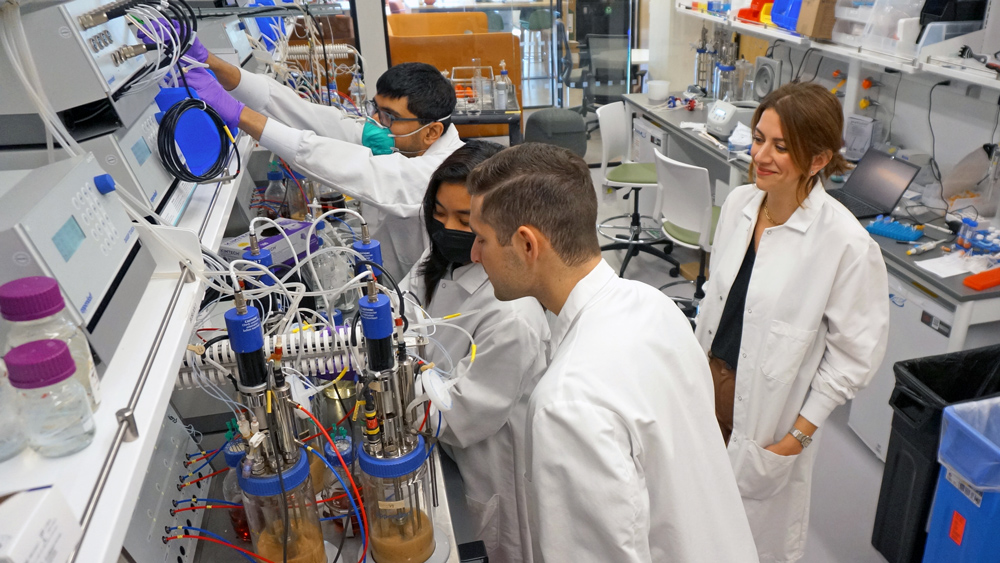 Spotlight: Palm oil alternative | MIT - Massachusetts Institute of ...