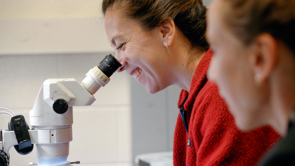 Spotlight: Brain reader | MIT - Massachusetts Institute of Technology