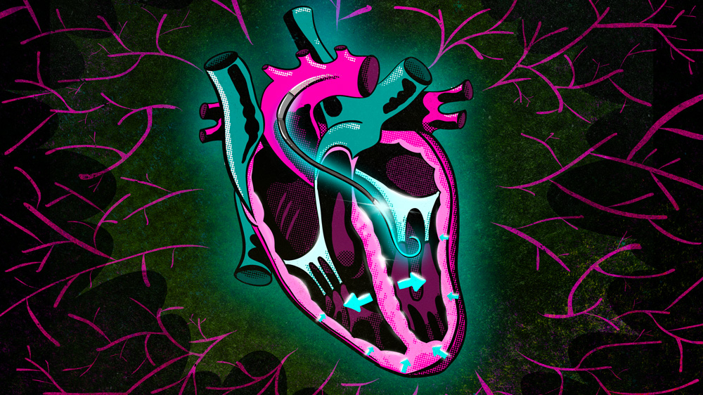 Spotlight: Balancing the heart | MIT - Massachusetts Institute of ...