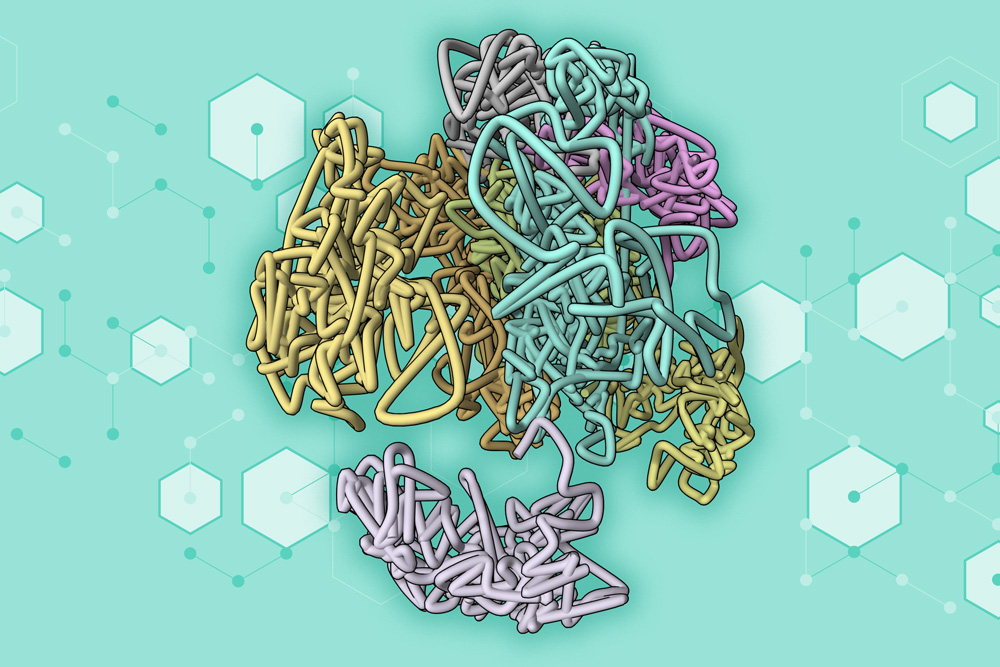 Spotlight: Genome structure | MIT - Massachusetts Institute of Technology