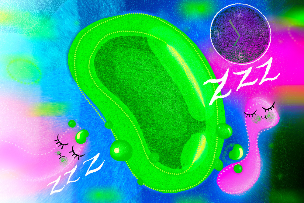 Spotlight: Mighty microbes | MIT - Massachusetts Institute of Technology