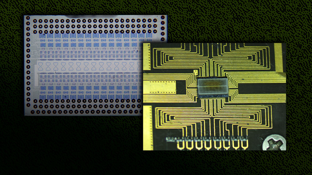 Spotlight: Making waves | MIT - Massachusetts Institute of Technology