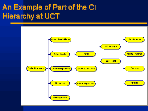 An Example of Part of the CI Hierarchy at UCT
