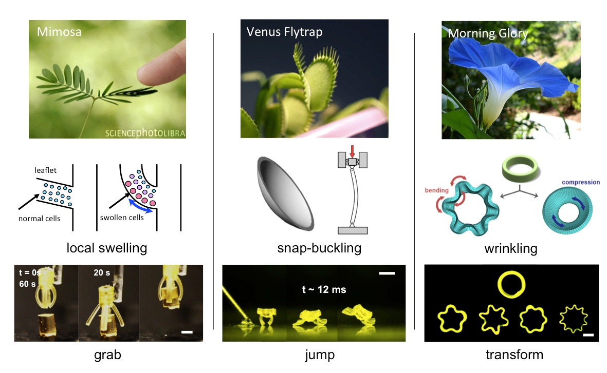 Professor Nicholas Fang's Research Group @ MIT