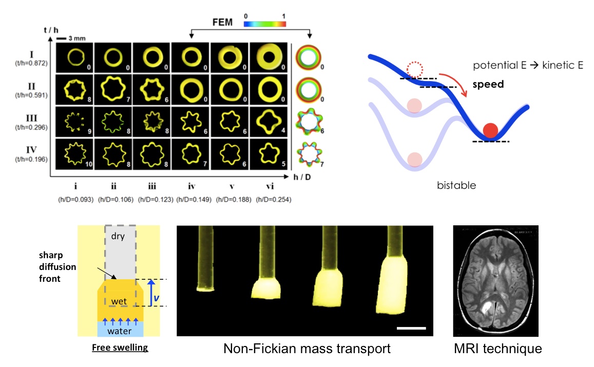 Professor Nicholas Fang's Research Group @ MIT
