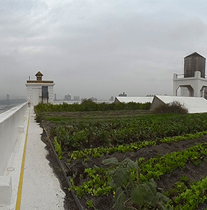 Elizabeth Yarina - Repurposed Vertical Farms: adaptive building reuse ...