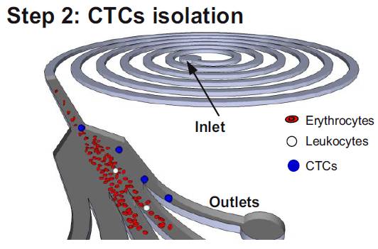 SMART: BioSystems and Micromechanics (BioSyM)