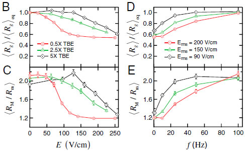 SMART: BioSystems and Micromechanics (BioSyM)