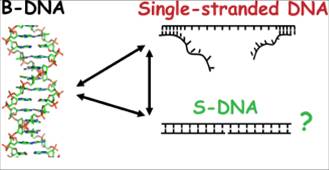 SMART: BioSystems and Micromechanics (BioSyM)
