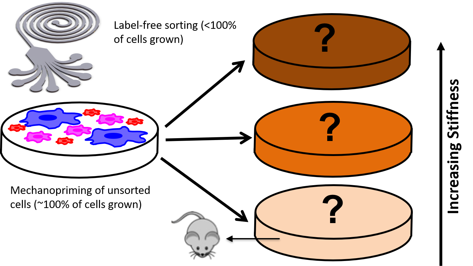 SMART: BioSystems and Micromechanics (BioSyM)