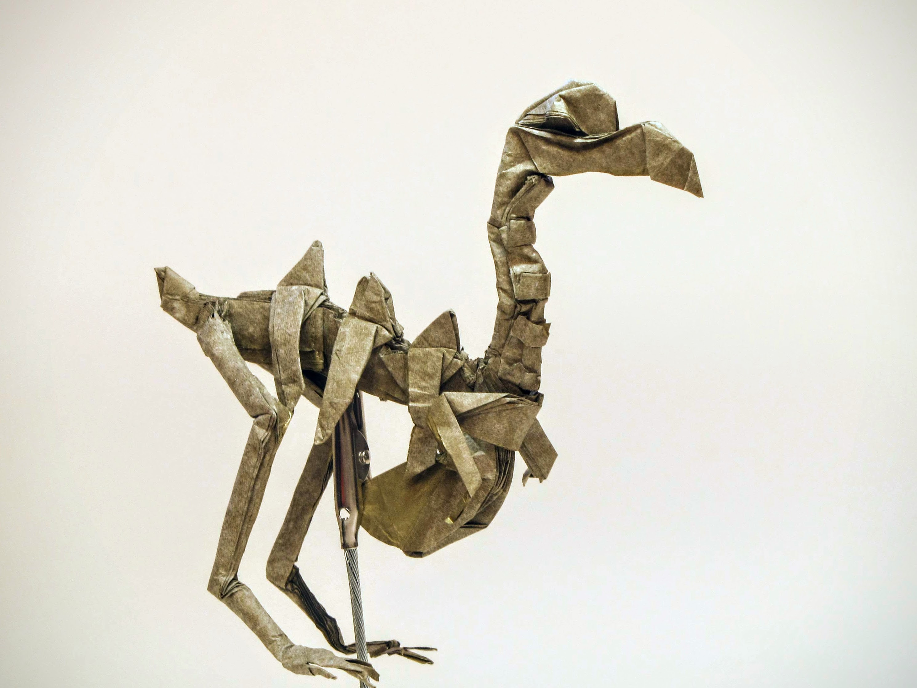 Dodo Skeleton