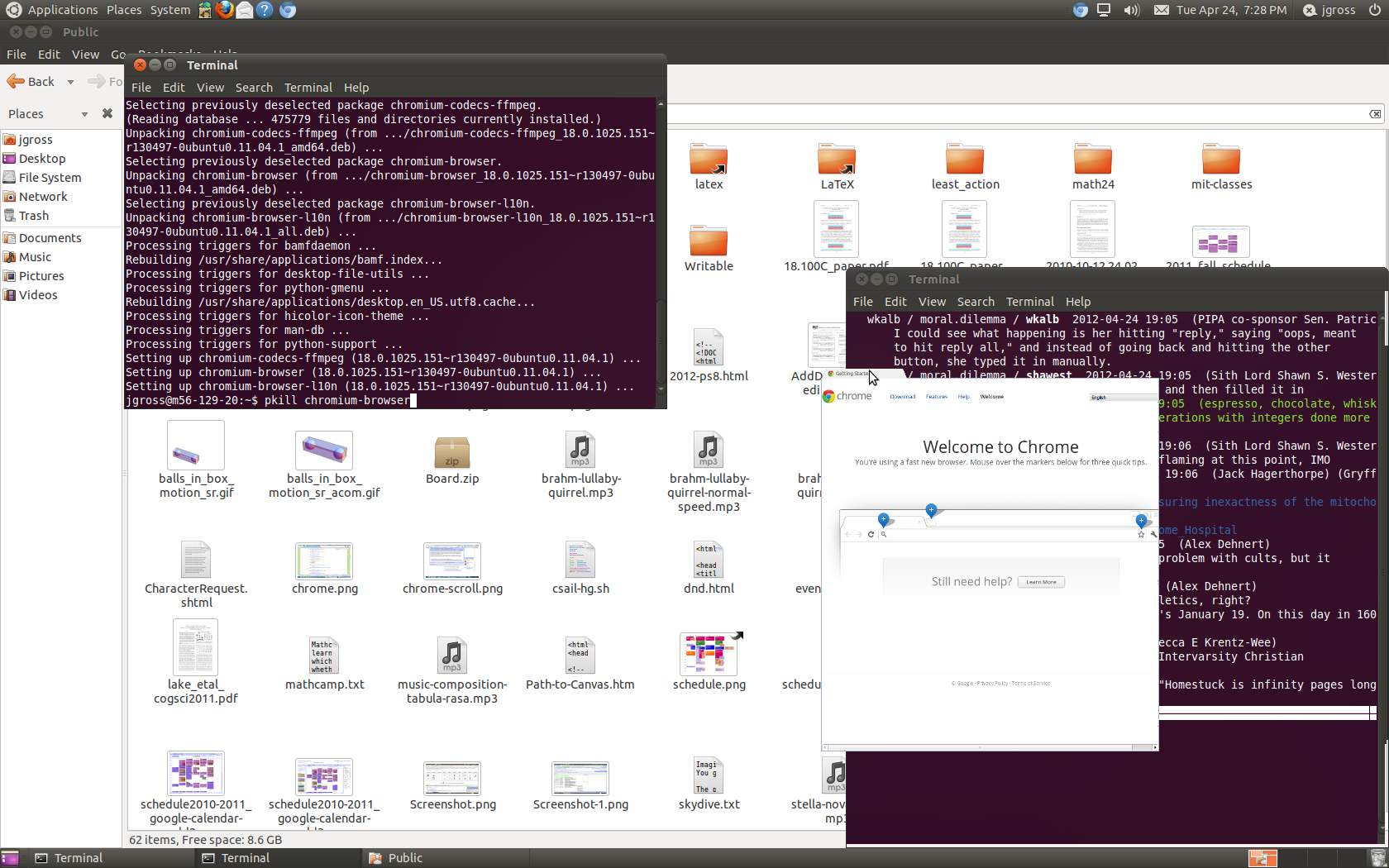 Index of /~jgross/Public/chrome
